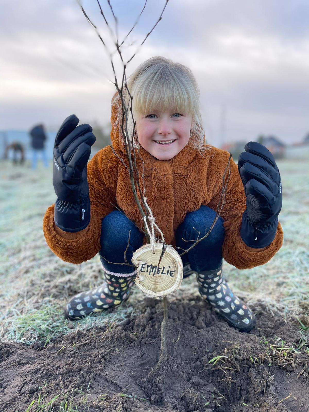 Bosteller.be - Verhalen, Torfs Foert Bos